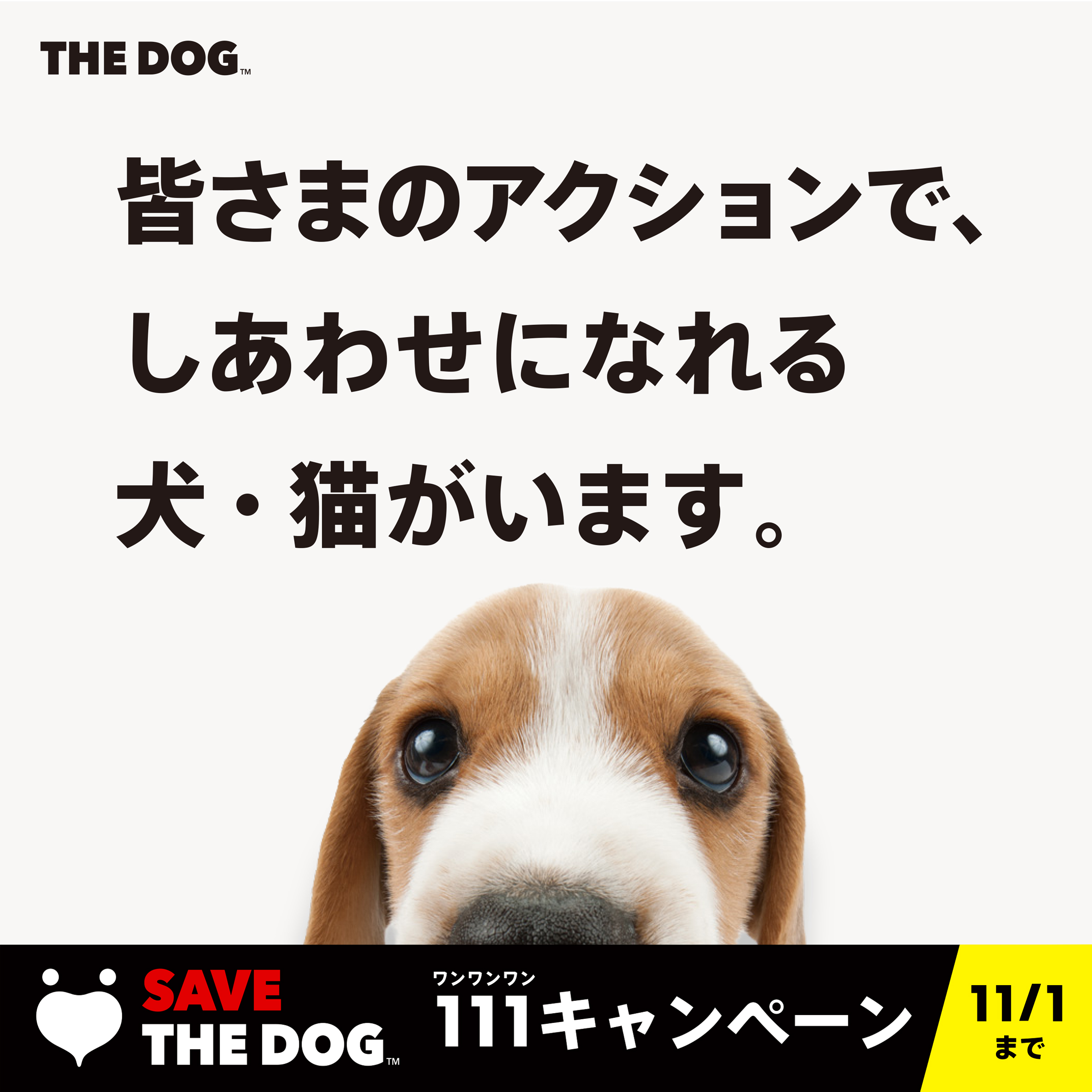 SAVE THE DOG PROJECT 111キャンペーン開催！ | THE DOG（ザ・ドッグ）公式ブランドサイト