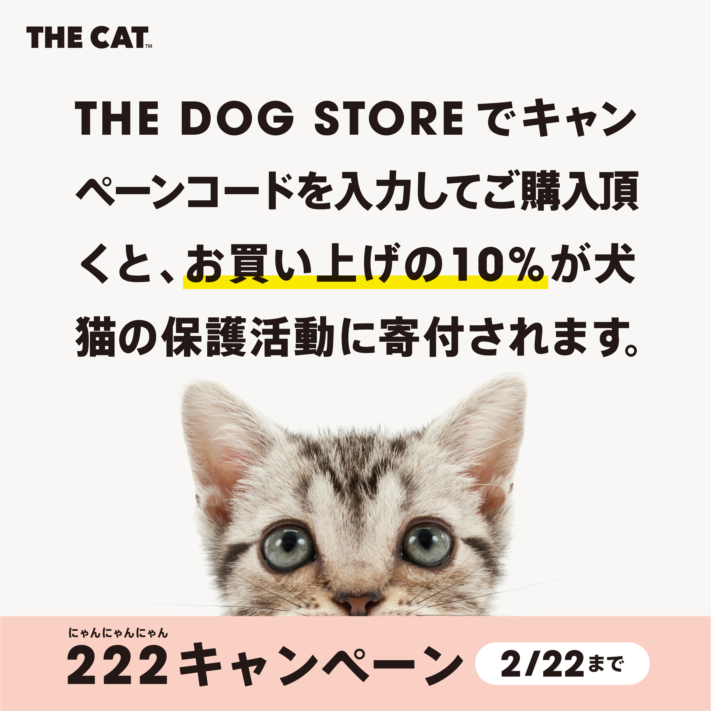 SAVE THE DOG PROJECT 222キャンペーン開催！ | THE DOG（ザ・ドッグ）公式ブランドサイト
